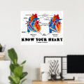 Know Your Heart (Diastole Systole) Poster | Zazzle
