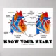 Know Your Heart (Diastole Systole) Poster | Zazzle