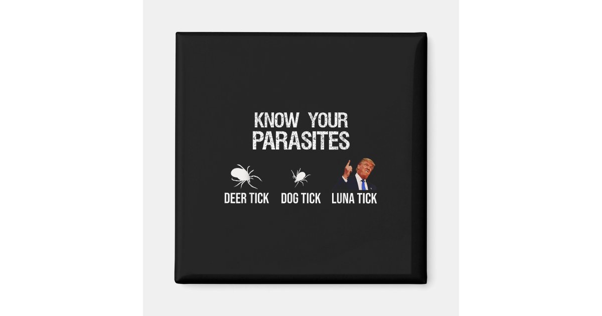 Know Your Parasites - Deer Tick, Dog Tick, Luna Ti Magnet | Zazzle
