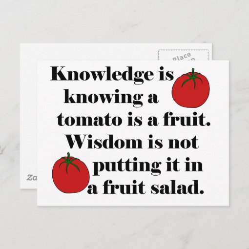 Knowledge is knowing a tomato is a fruit. postcard | Zazzle