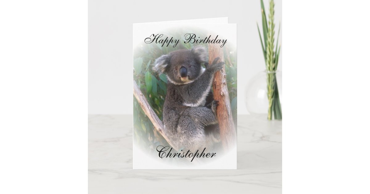 Koala Bear Birthday Card | Zazzle