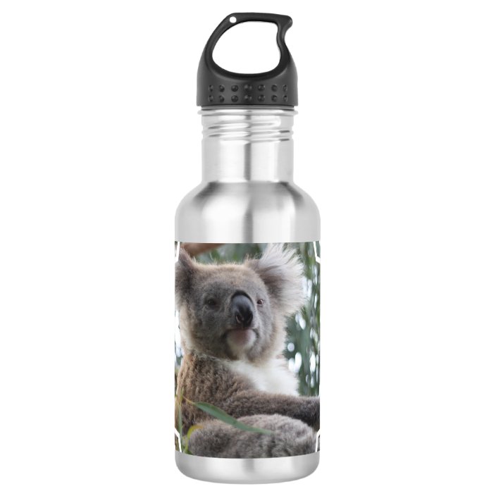 Koala Bear Facts Stainless Steel Water Bottle | Zazzle.com