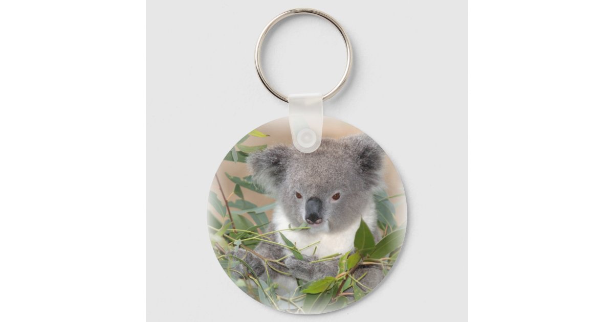 Koala Bear Keychain | Zazzle