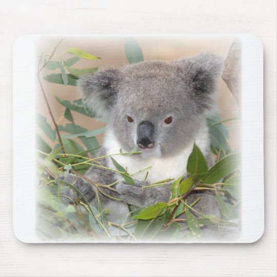 Koala Bear Mouse Pad | Zazzle.com
