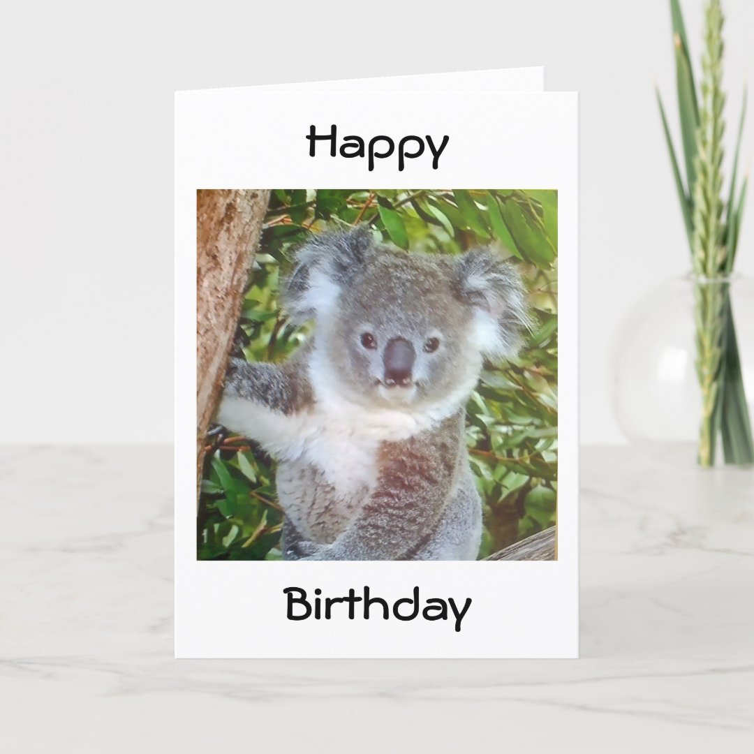 "KOALA BIRTHDAY GREETINGS" CARD | Zazzle
