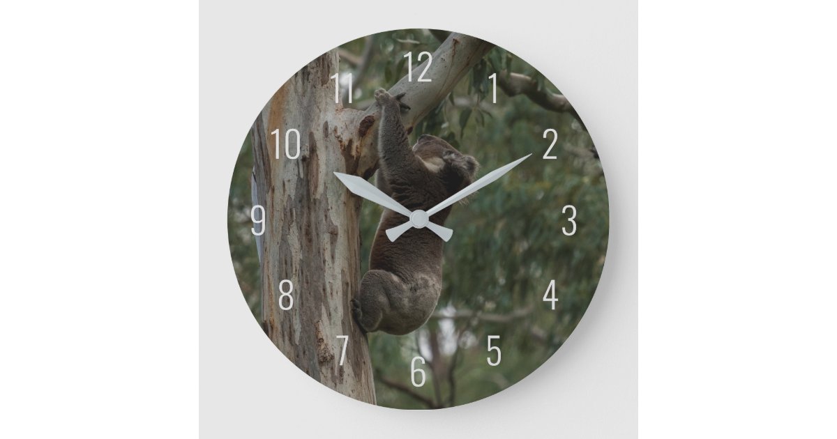 Koala Climbing in a Tree Australia Large Clock | Zazzle