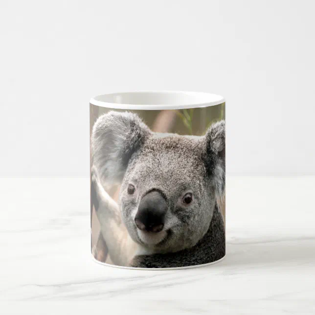 Koala Coffee Mug | Zazzle
