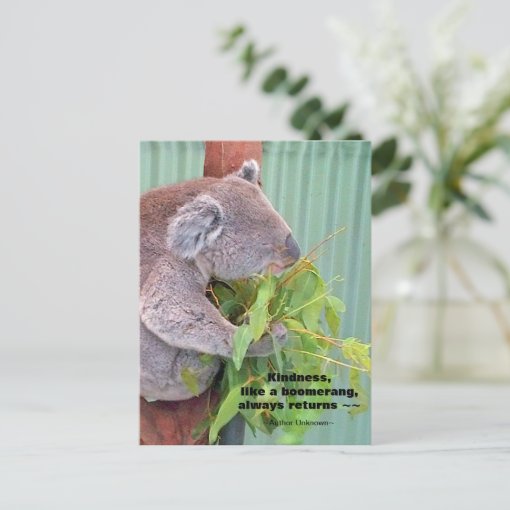 Koala Kindness Quote Postcard | Zazzle
