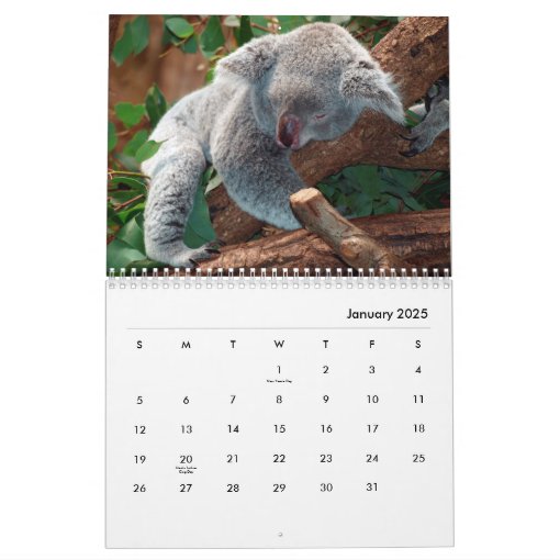 Koalas Wall Calendar | Zazzle