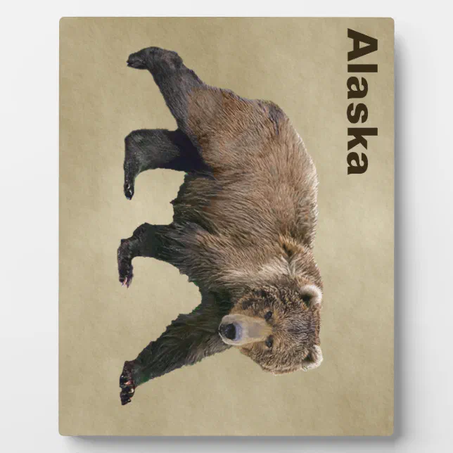 Kodiak Bear On Old Paper Plaque | Zazzle