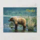 Kodiak brown bear, Alaska Postcard | Zazzle