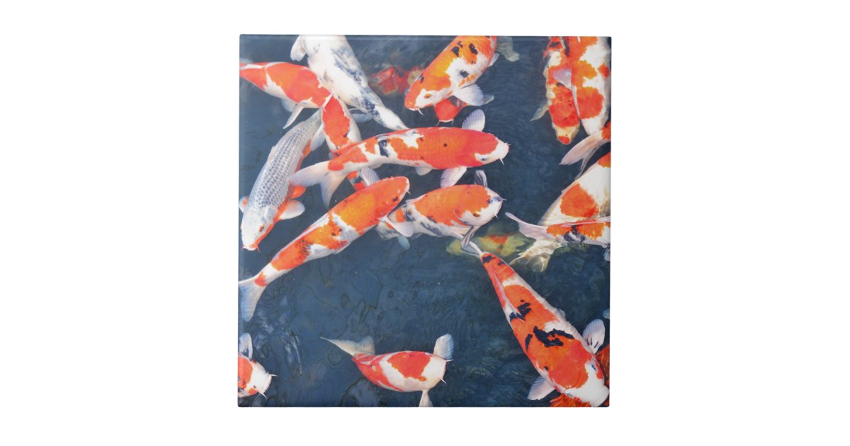Koi fish ceramic tile | Zazzle