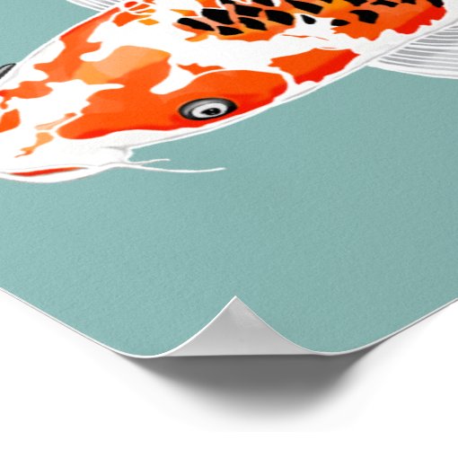 Koi fish poster | Zazzle