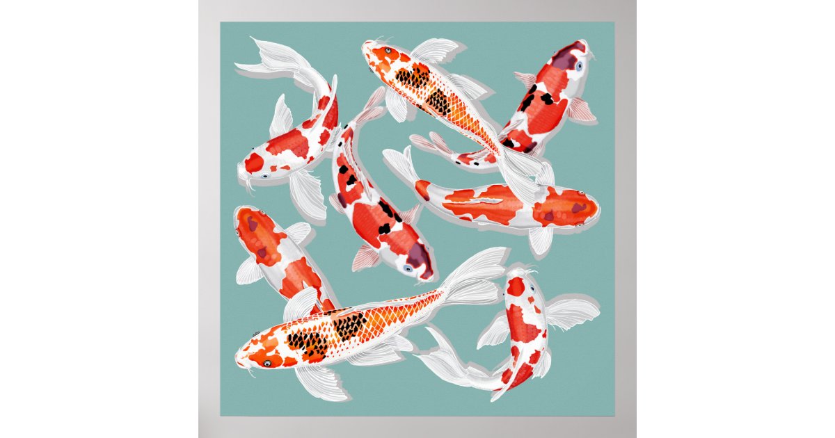 Koi fish poster | Zazzle.com