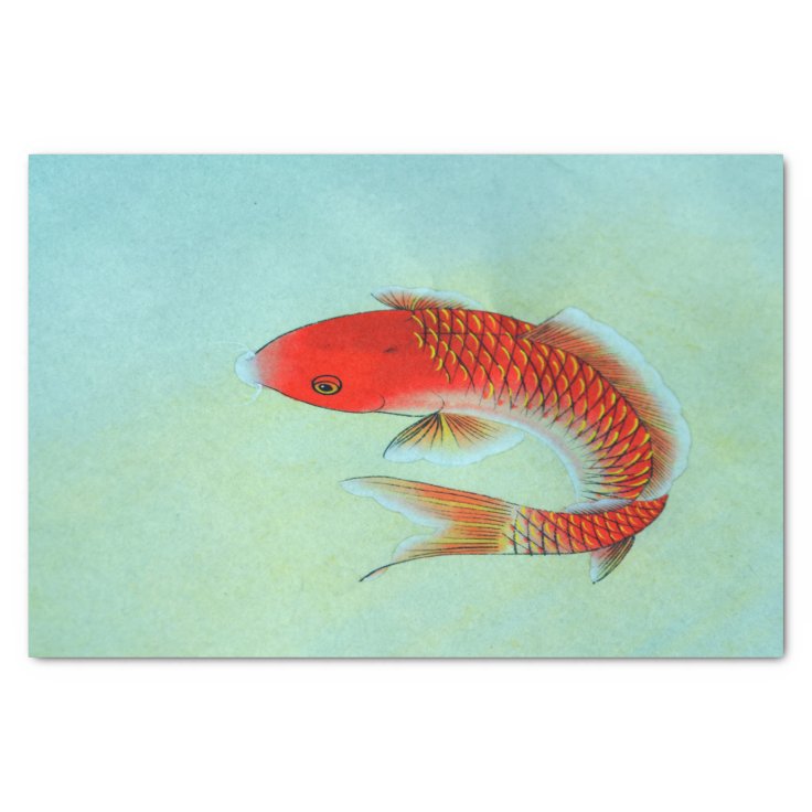 Koi Pond Tissue paper | Zazzle