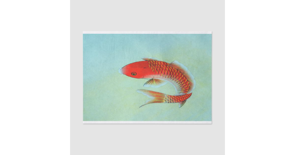 Koi Pond Tissue paper | Zazzle