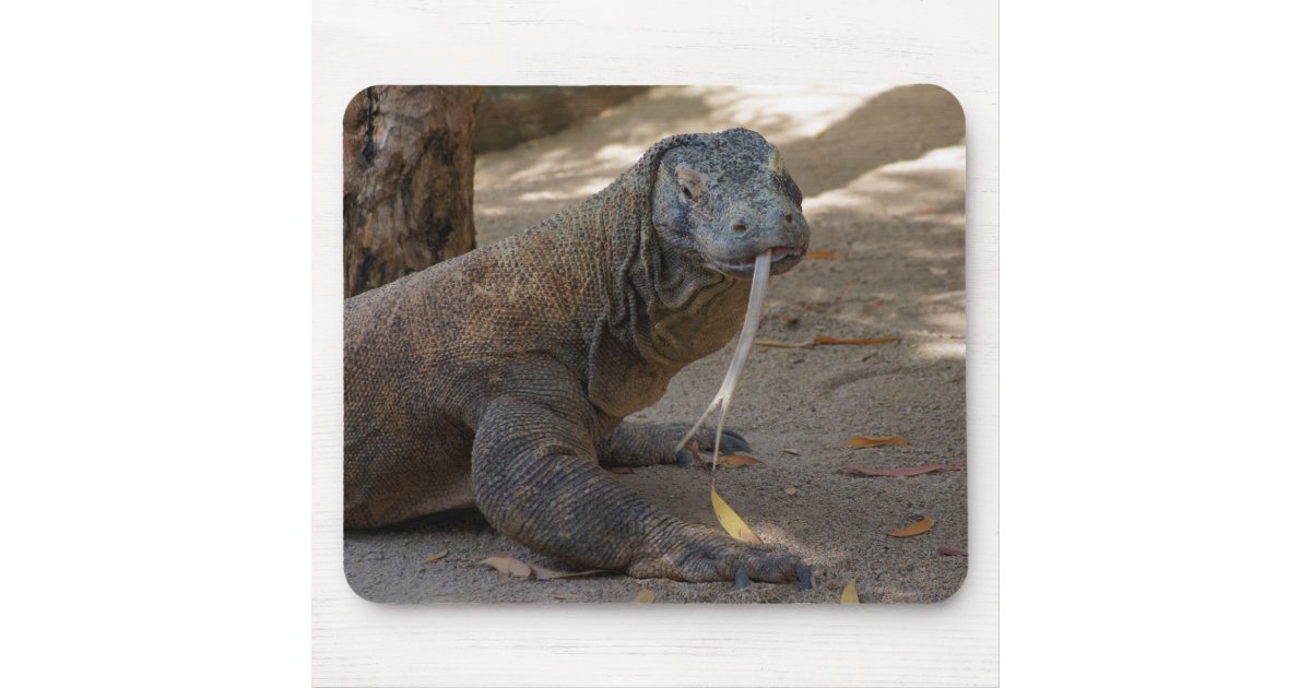 Komodo Dragon Licking Mouse Pad | Zazzle