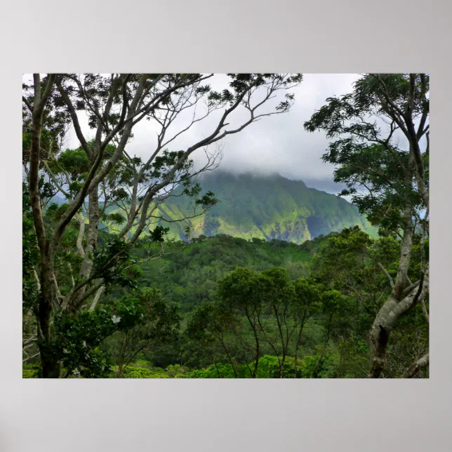 Koolau Mountains Poster | Zazzle