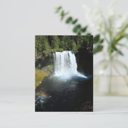 Koosah Falls Oregon Waterfall Postcard | Zazzle