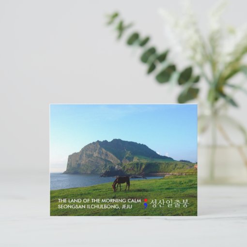Korea Jeju island postcard for postcrossing | Zazzle