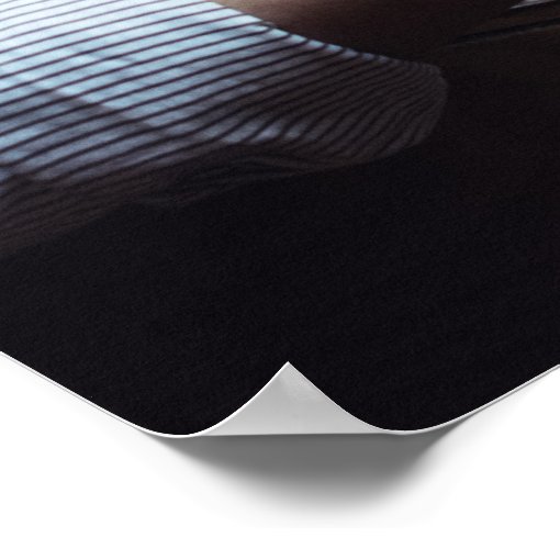 Korean Fermented Foods Kimchi Poster | Zazzle