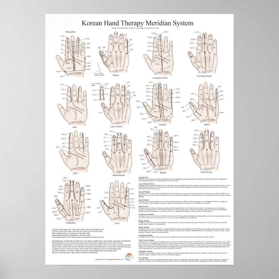 Korean Hand Acupuncture Meridian System Poster | Zazzle