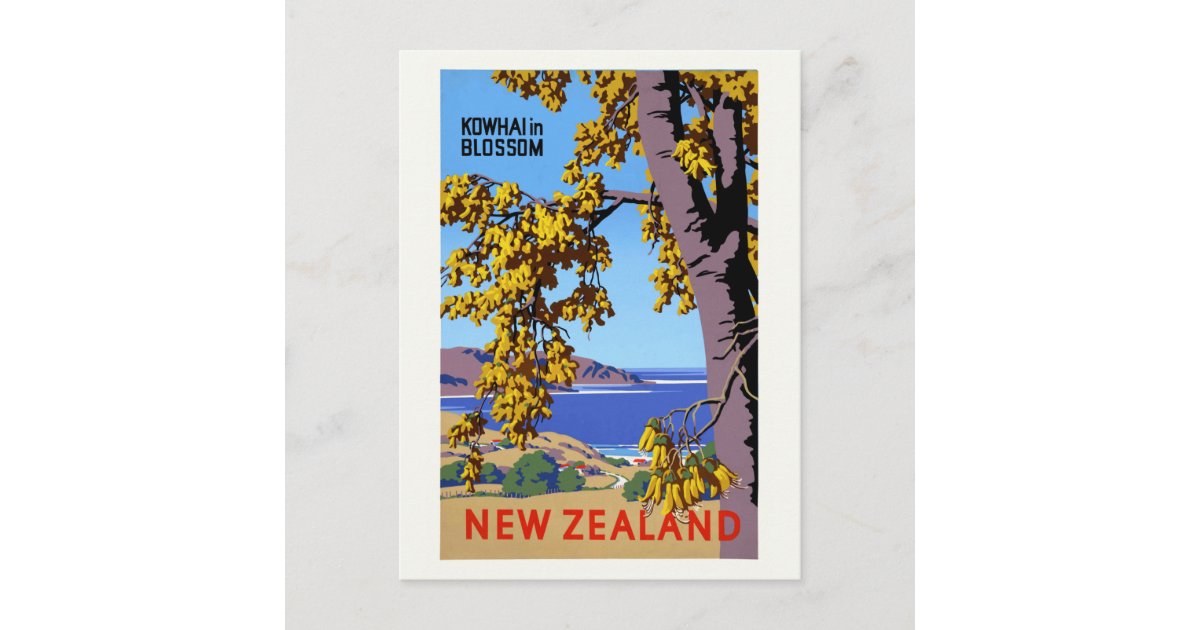 Kowhai in Blossom New Zealand Vintage Poster Postcard | Zazzle
