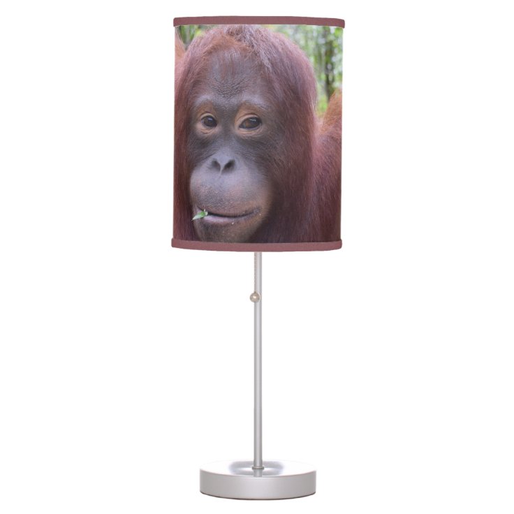 Krista Orangutan from Borneo Table Lamp | Zazzle