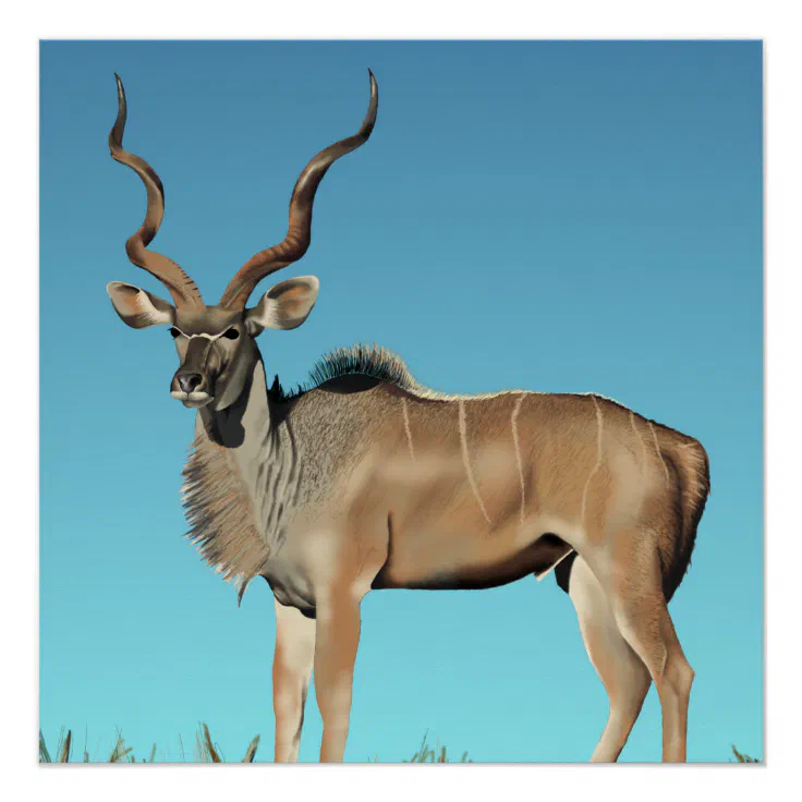 Kudu Poster | Zazzle