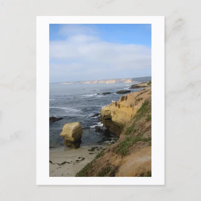 La Jolla Beach Seabirds Custom California Postcard | Zazzle