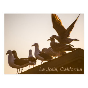 La Jolla Postcards | Zazzle