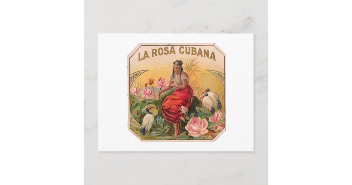 La Rosa Cubana Diseño Vintage Cuba Postcard | Zazzle