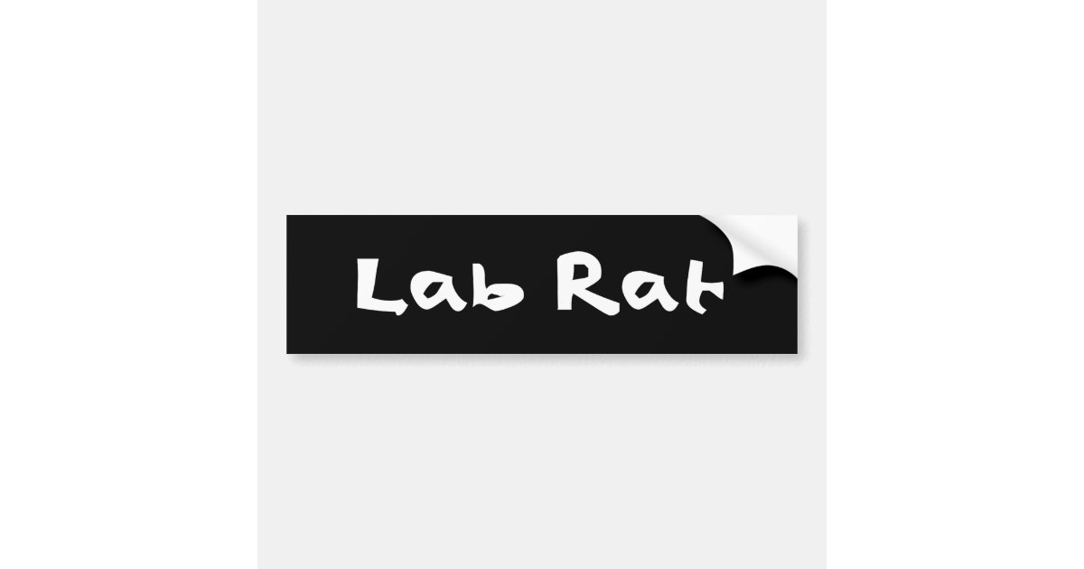 Lab Rat Bumper Sticker | Zazzle