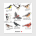Labeled Backyard Birds Sticker Set | Zazzle