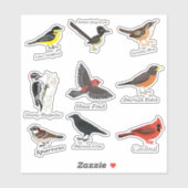 Labeled Backyard Birds Sticker Set | Zazzle