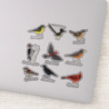 Labeled Backyard Birds Sticker Set | Zazzle