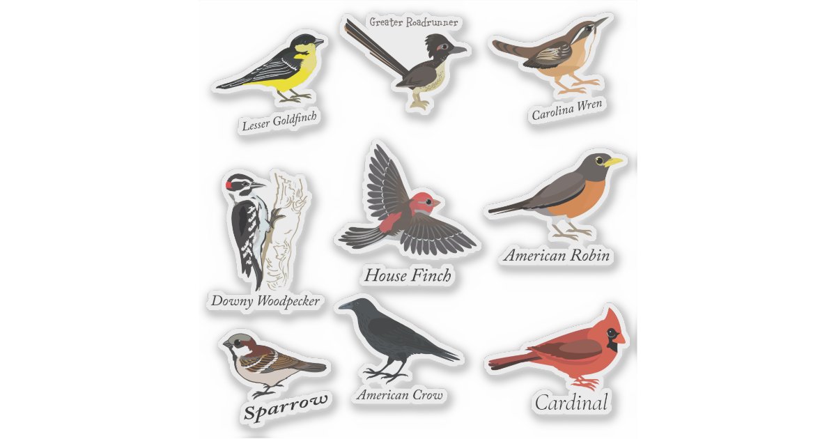 Labeled Backyard Birds Sticker Set | Zazzle