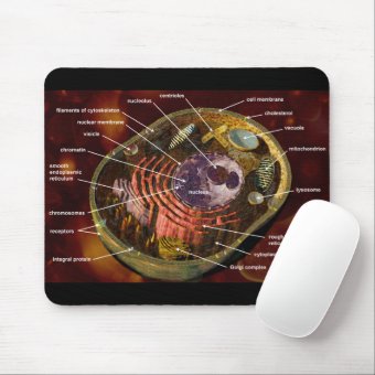 Labeled human cell mouse pad | Zazzle
