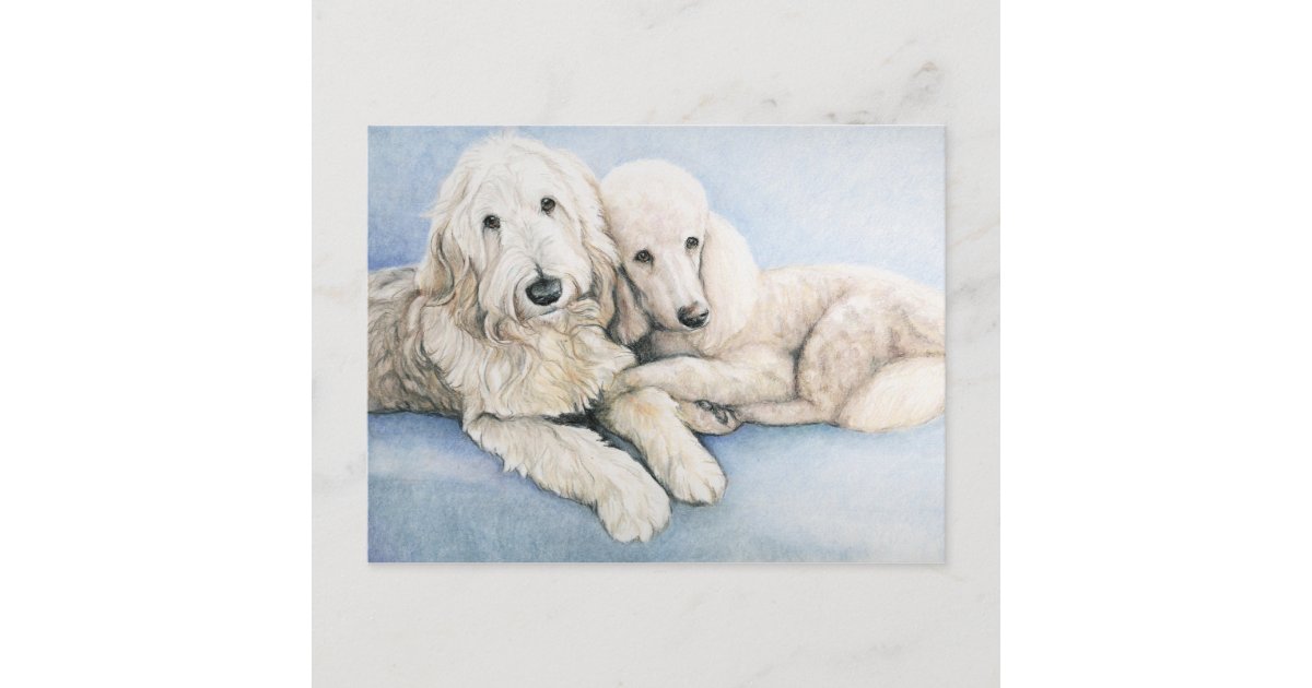 Labradoodle and Standard Poodle Dog Art Postcard | Zazzle