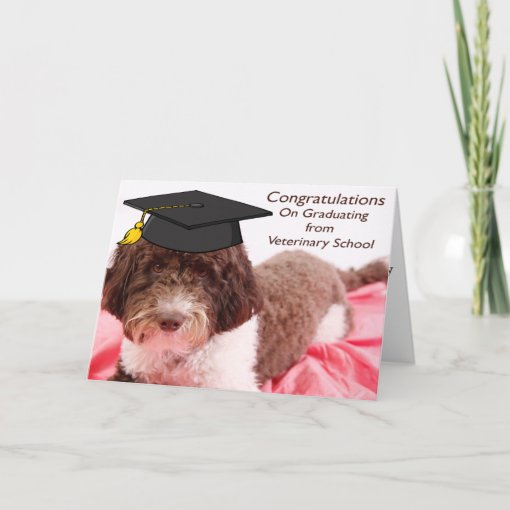 Labradoodle Congratulations From Veterinary School Card | Zazzle