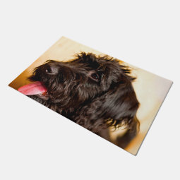 Labradoodle Dog. Doormat | Zazzle