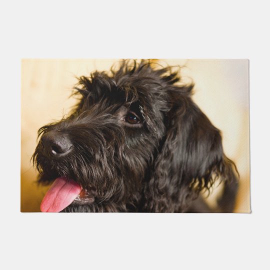 Labradoodle Dog. Doormat | Zazzle.com