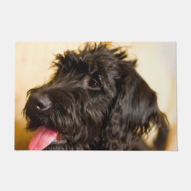 Labradoodle Dog. Doormat | Zazzle