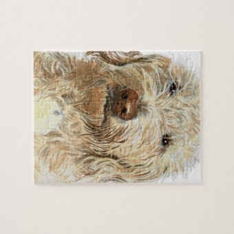Labradoodle Ginger Jigsaw Puzzle | Zazzle