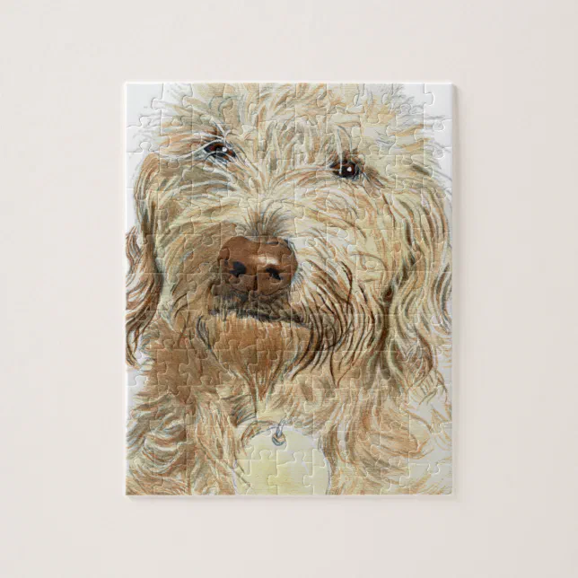 Labradoodle Ginger Jigsaw Puzzle | Zazzle