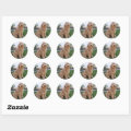 Labradoodle Puppy Dog Classic Round Sticker | Zazzle
