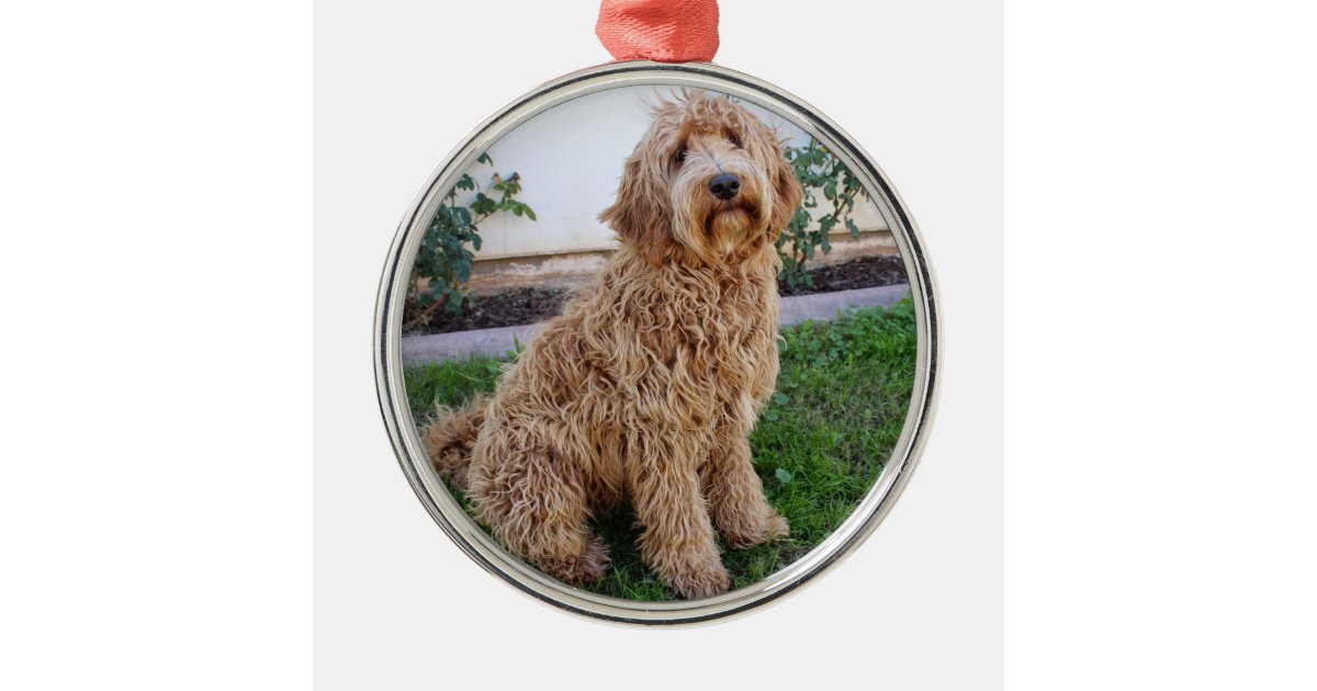 Labradoodle Puppy Dog Metal Ornament | Zazzle