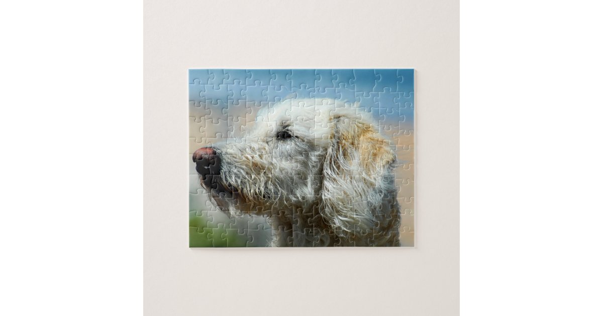 Labradoodle Puppy Jigsaw Puzzle | Zazzle