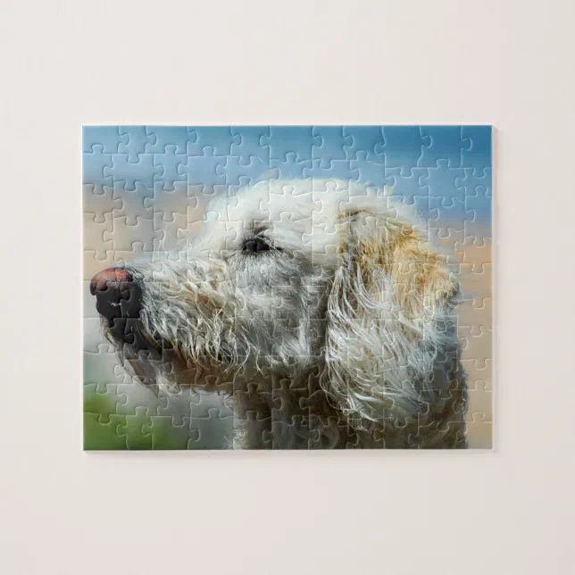 Labradoodle Puppy Jigsaw Puzzle | Zazzle