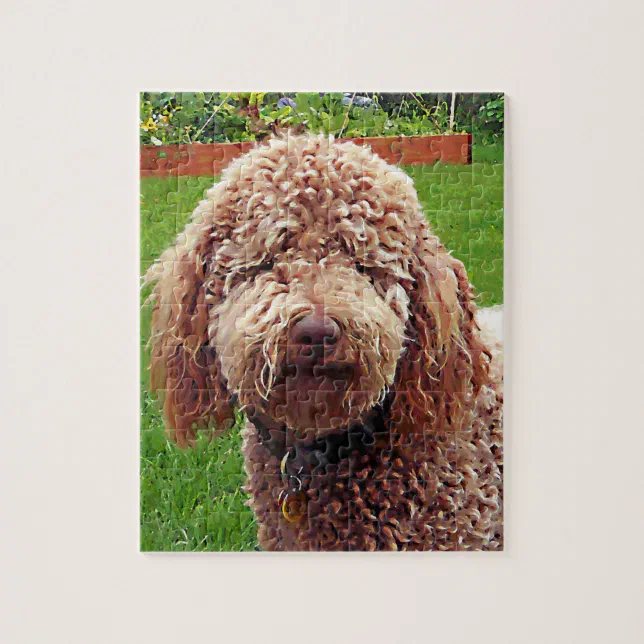 Labradoodle "Stella" Puzzle | Zazzle